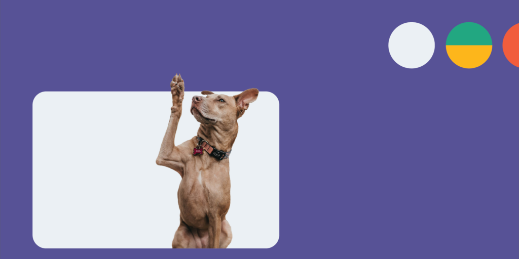 Recruitment Guide: Asking the Right Questions - Business Sherpa Group